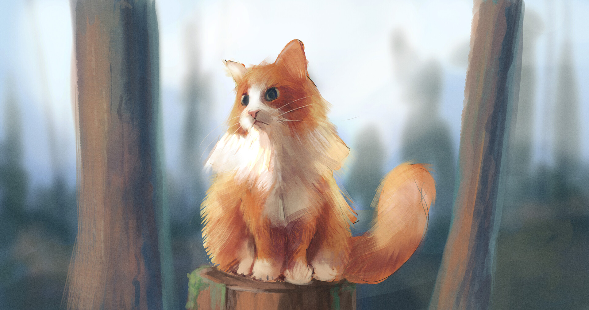 ArtStation - CAT STUDY