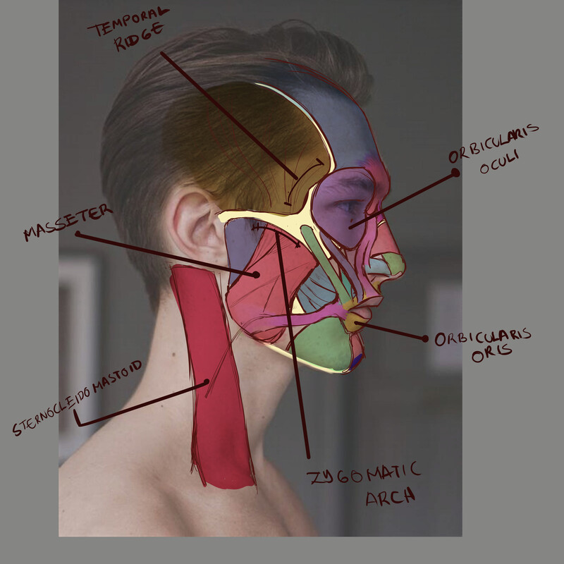ArtStation - David Trejo M