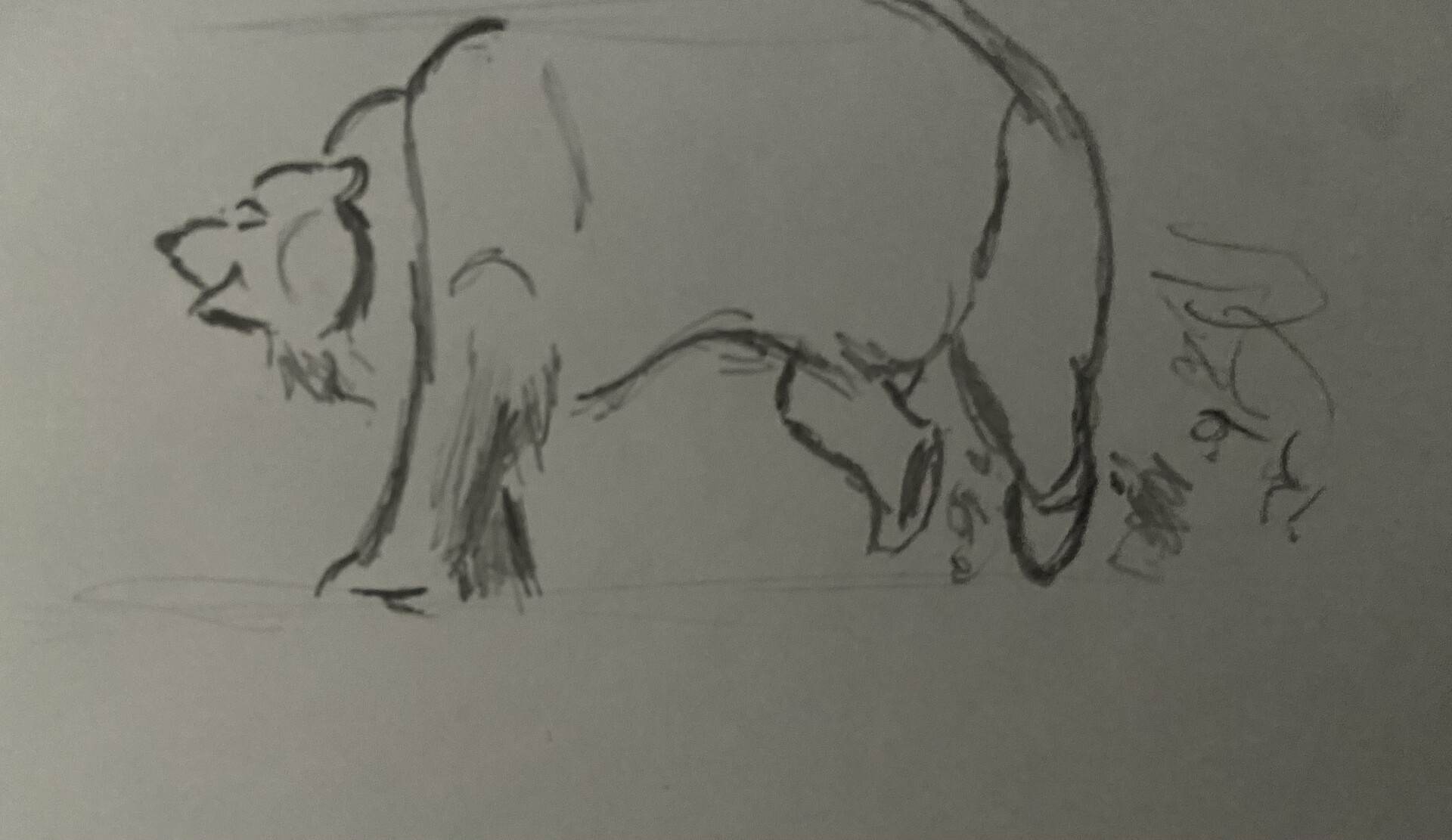 ArtStation - Leaping action bear sketch. Enjoy