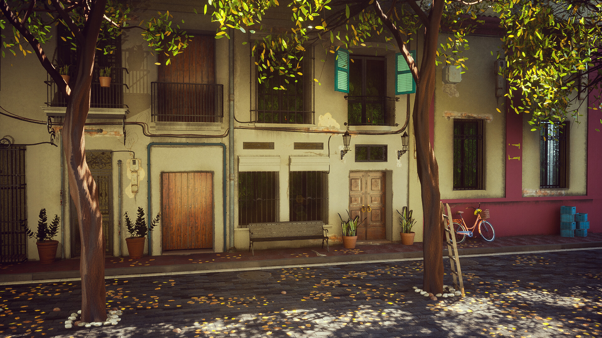 Shahzaib Naveed - Street