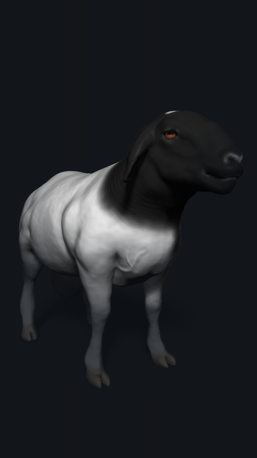 ArtStation - Dorper Sheep