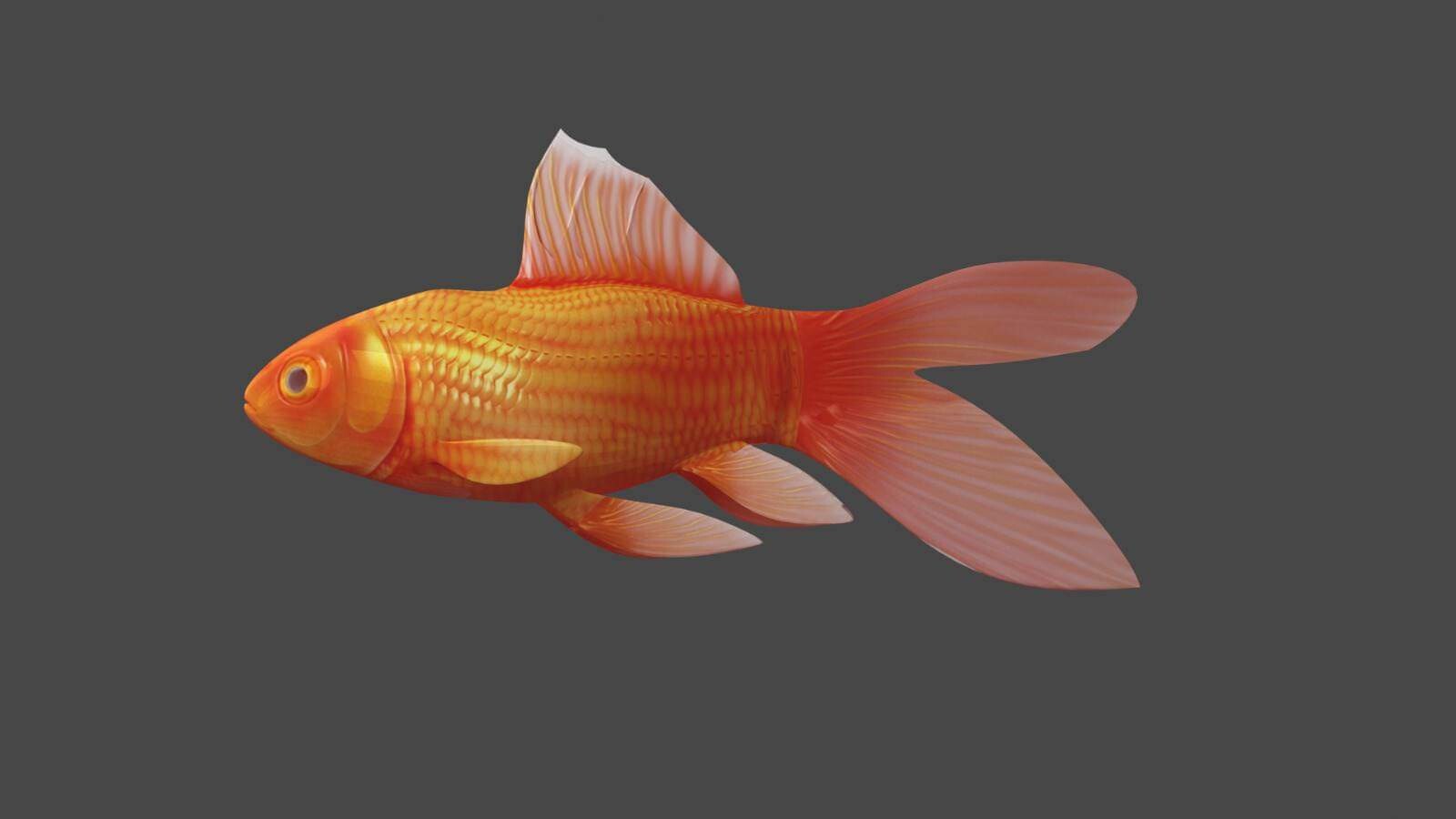 ArtStation - Fish 3d Design For Animation Video