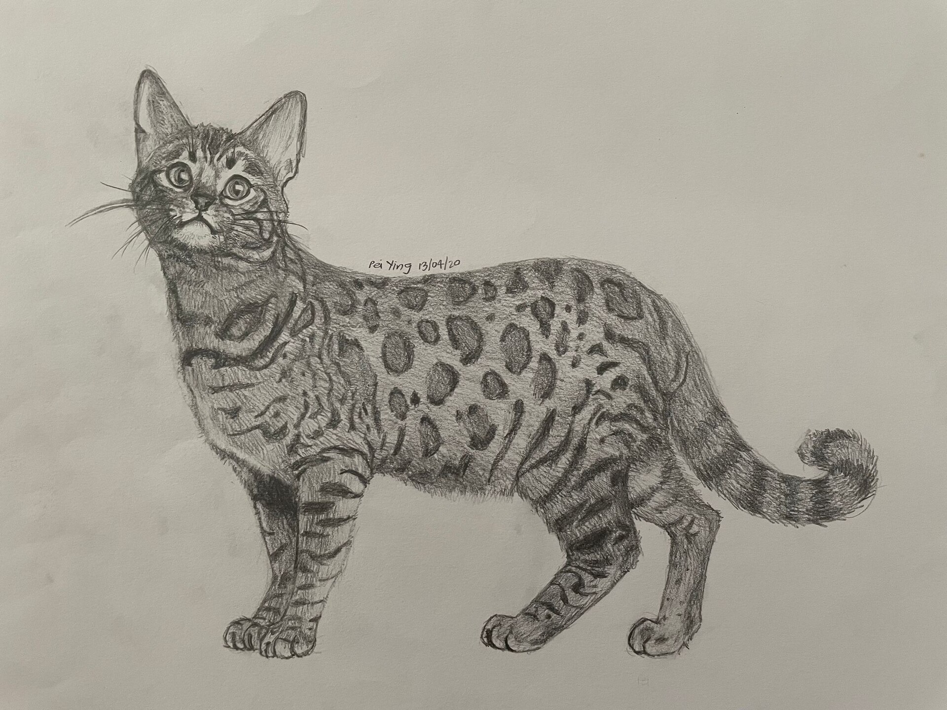 ArtStation - Drawing Fundamentals 2020