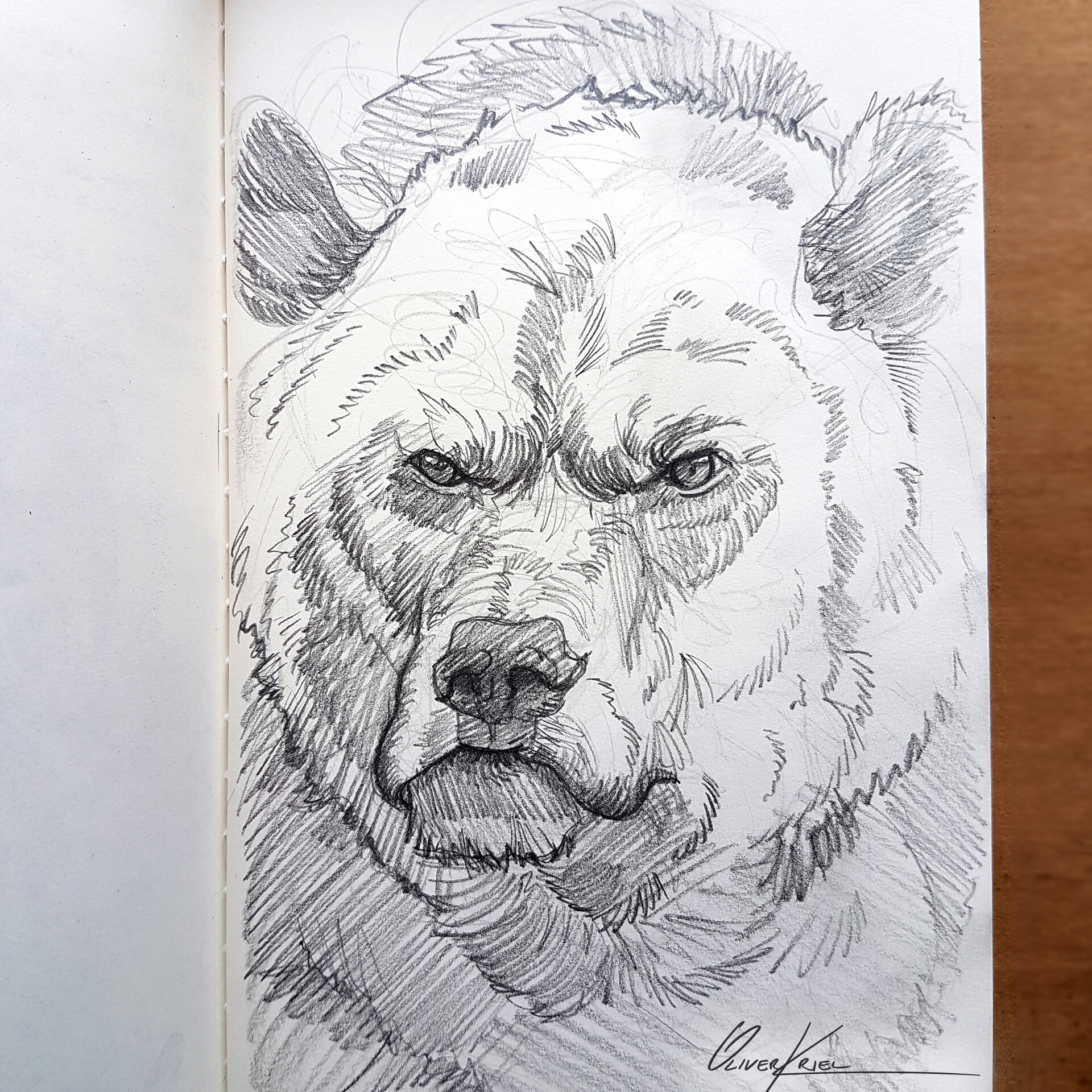 ArtStation - Drawing - Beorn the Bear