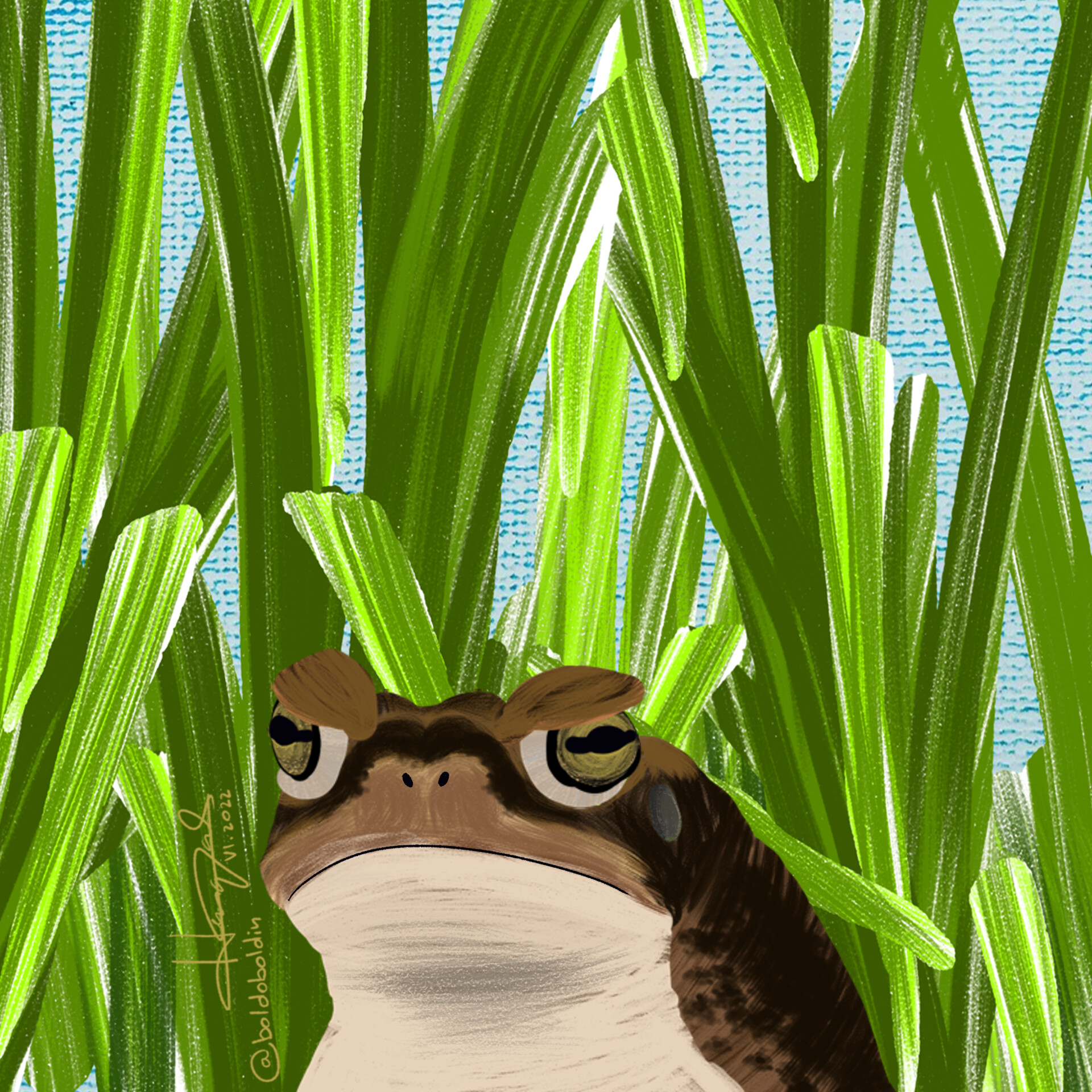 ArtStation - Cane toad