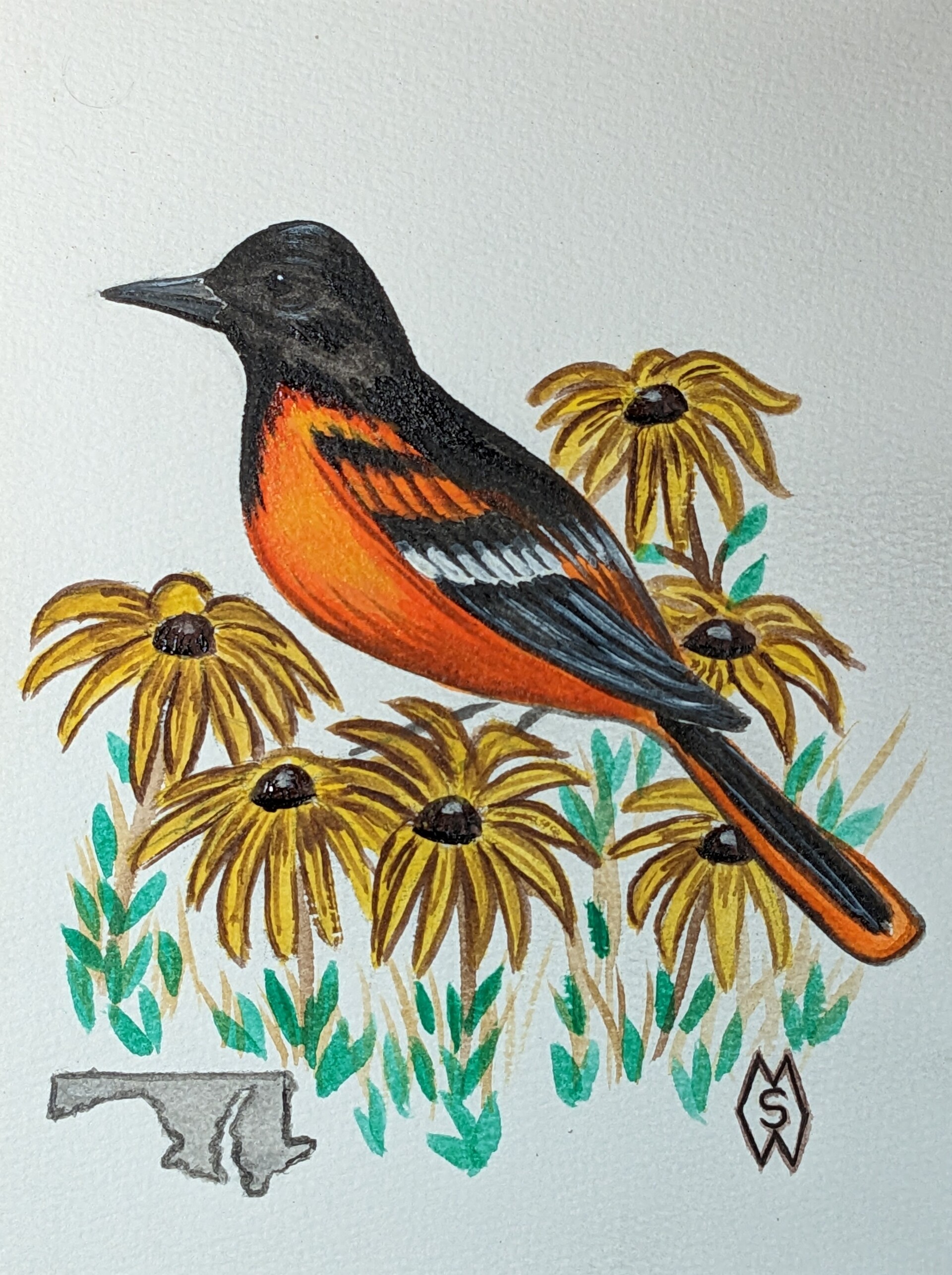 ArtStation - Maryland state bird and flower, the Baltimore oriole and ...
