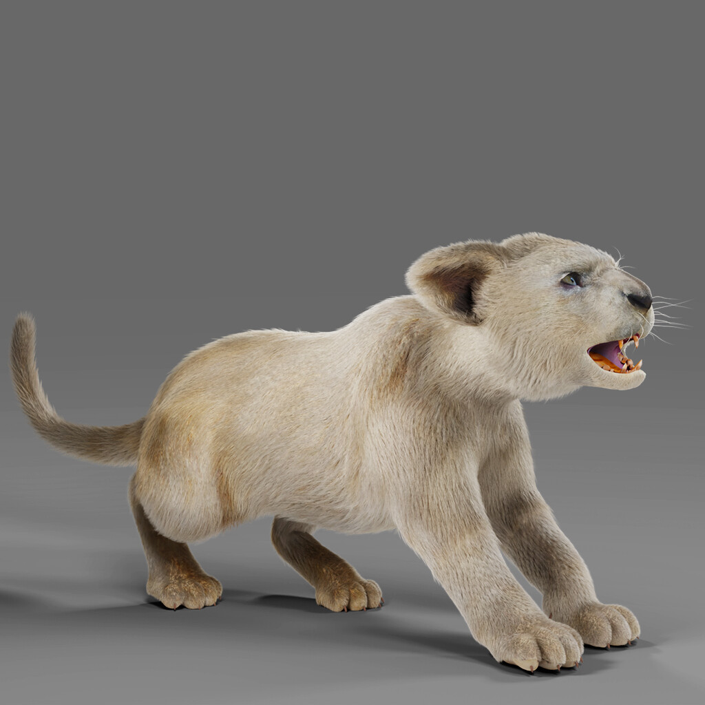 3d animal factory - Fur Lion Cub Rigged and Animated in Blender