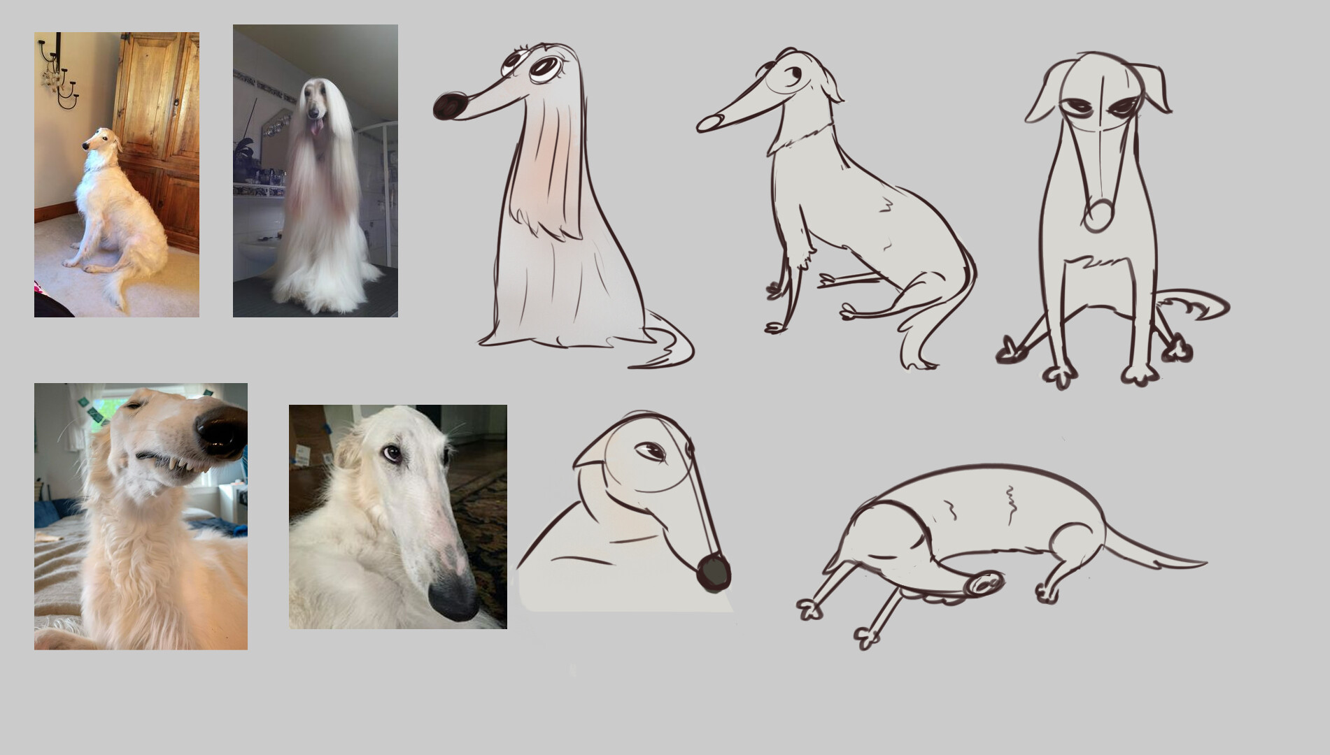 ArtStation - Dog desing