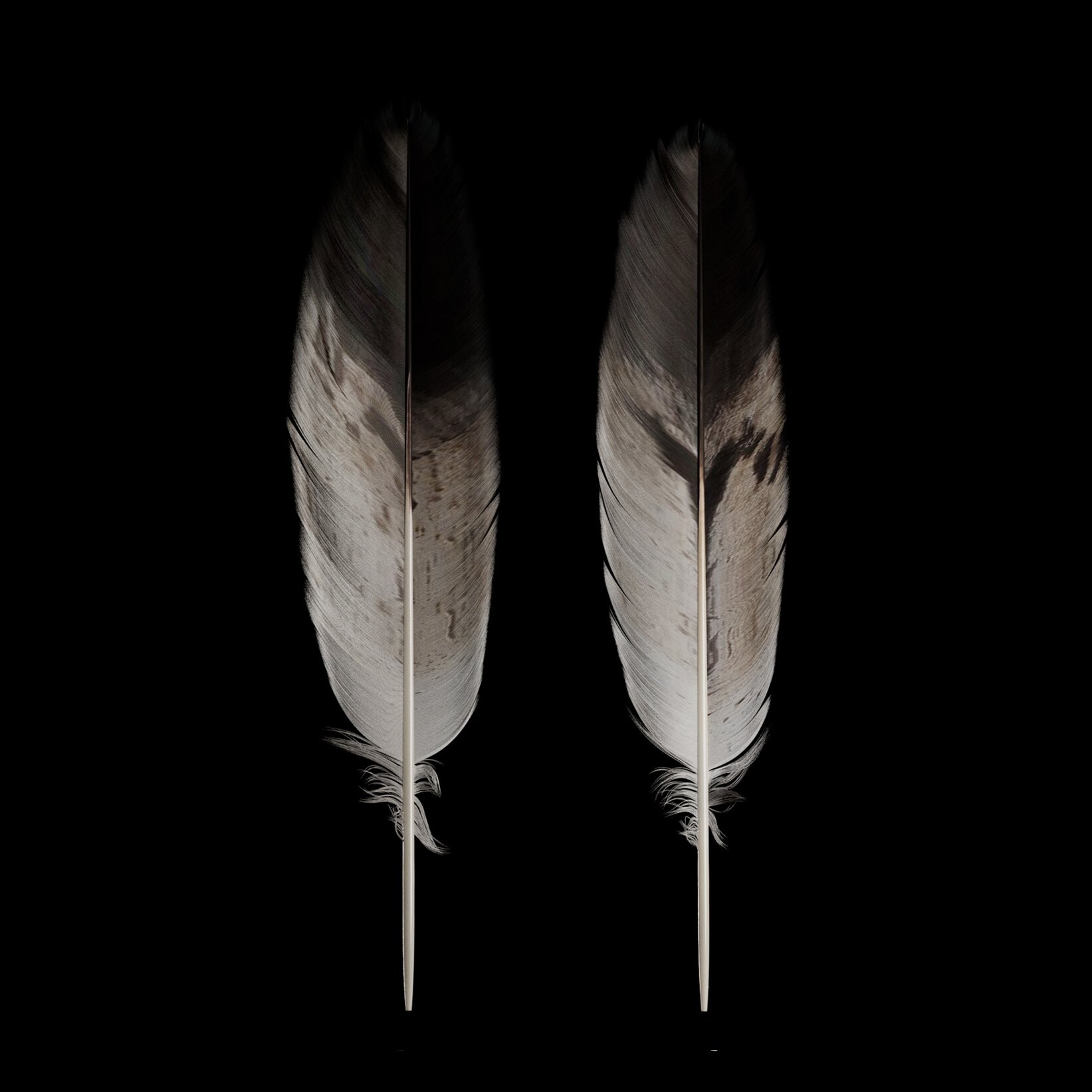 Jean-Pascal Berthiaume - In-Progress cinematic model