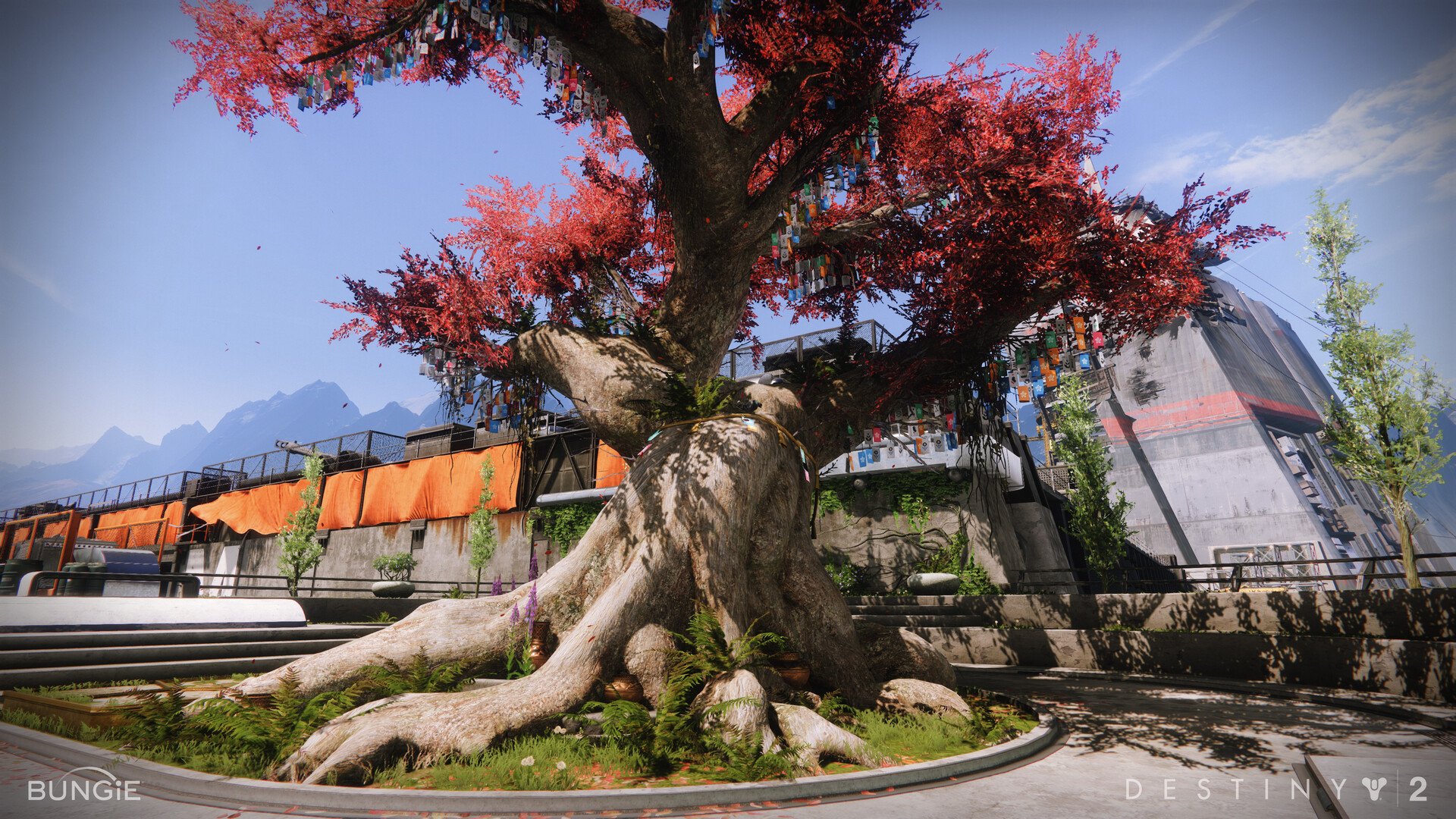 Steven Klipowicz - Destiny 2: Rank Up Ceremony