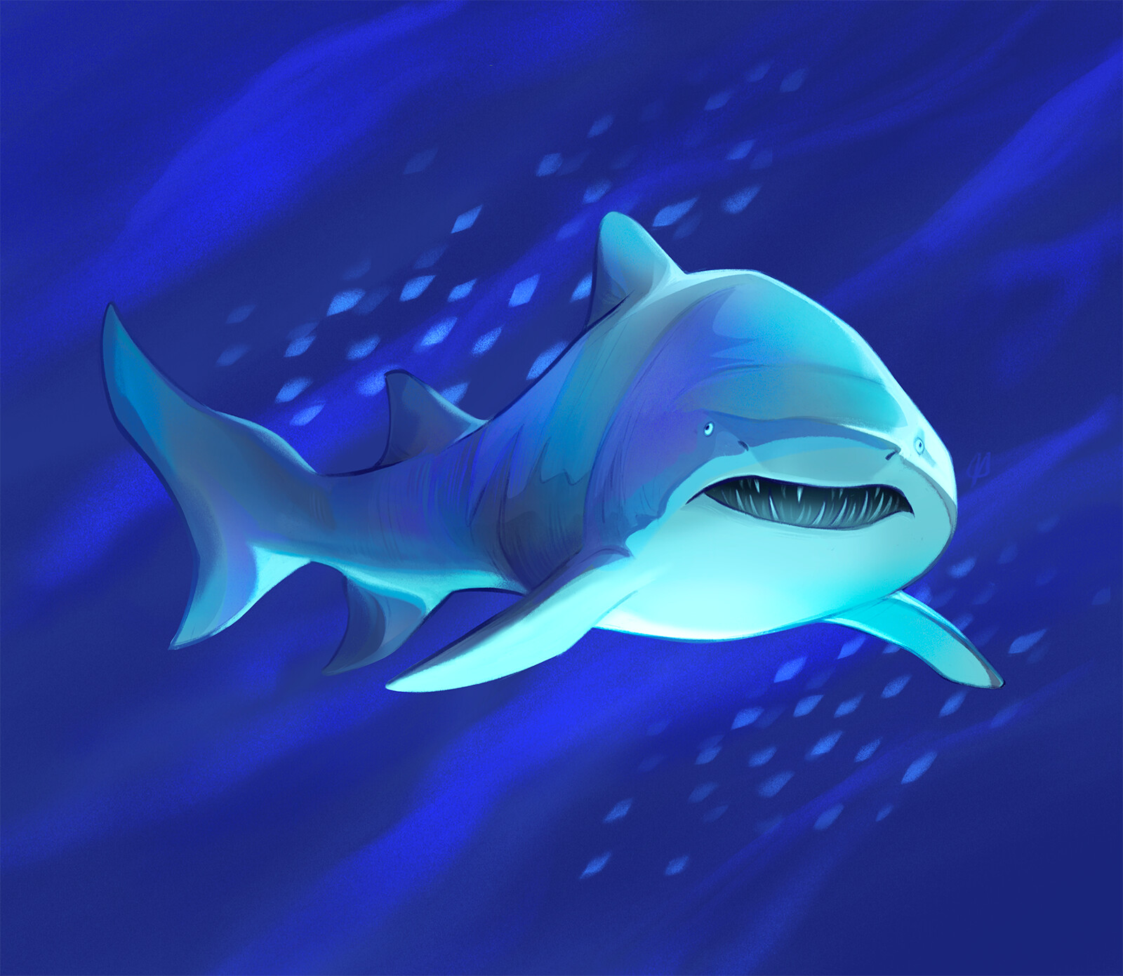 ArtStation - Shark Study