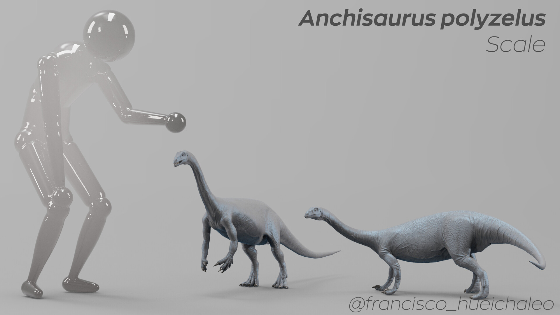 anchisaurus size