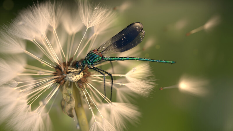 ArtStation - Juliette Gallet