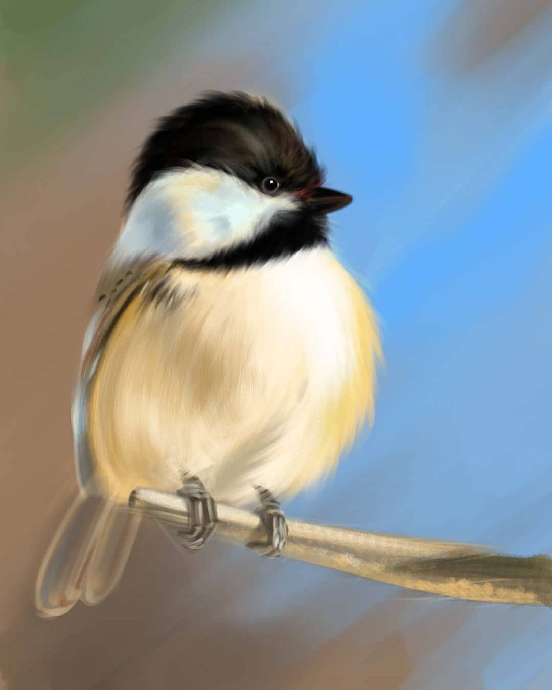 ArtStation - Bird study