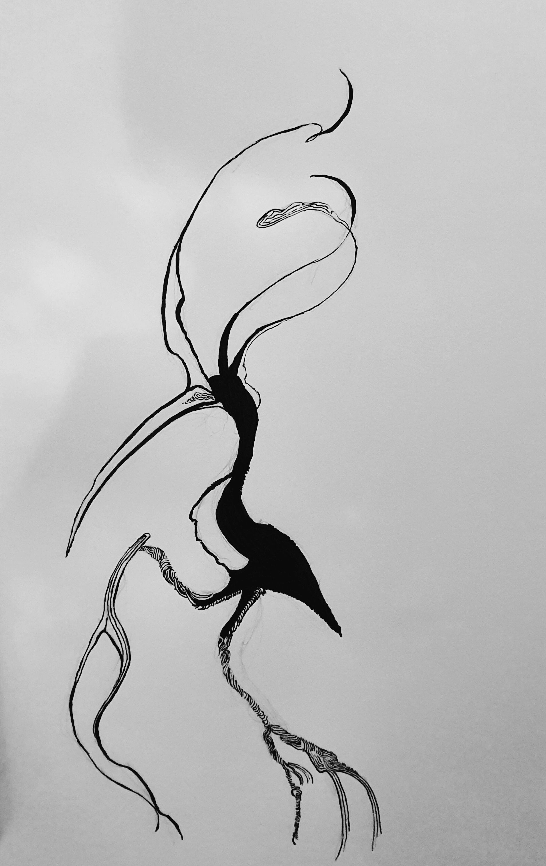 ArtStation - Surreal bird