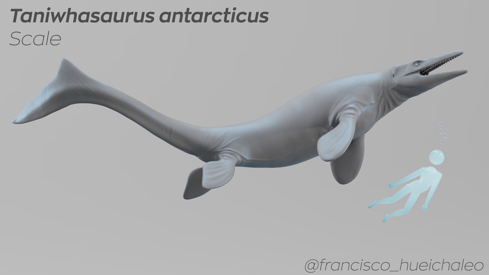 ArtStation - Taniwhasaurus antarcticus Scale