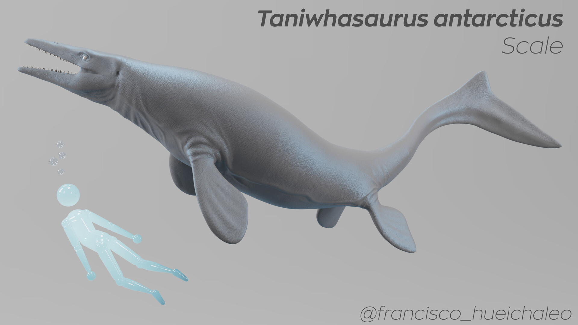 Francisco Hueichaleo - Taniwhasaurus antarcticus Scale