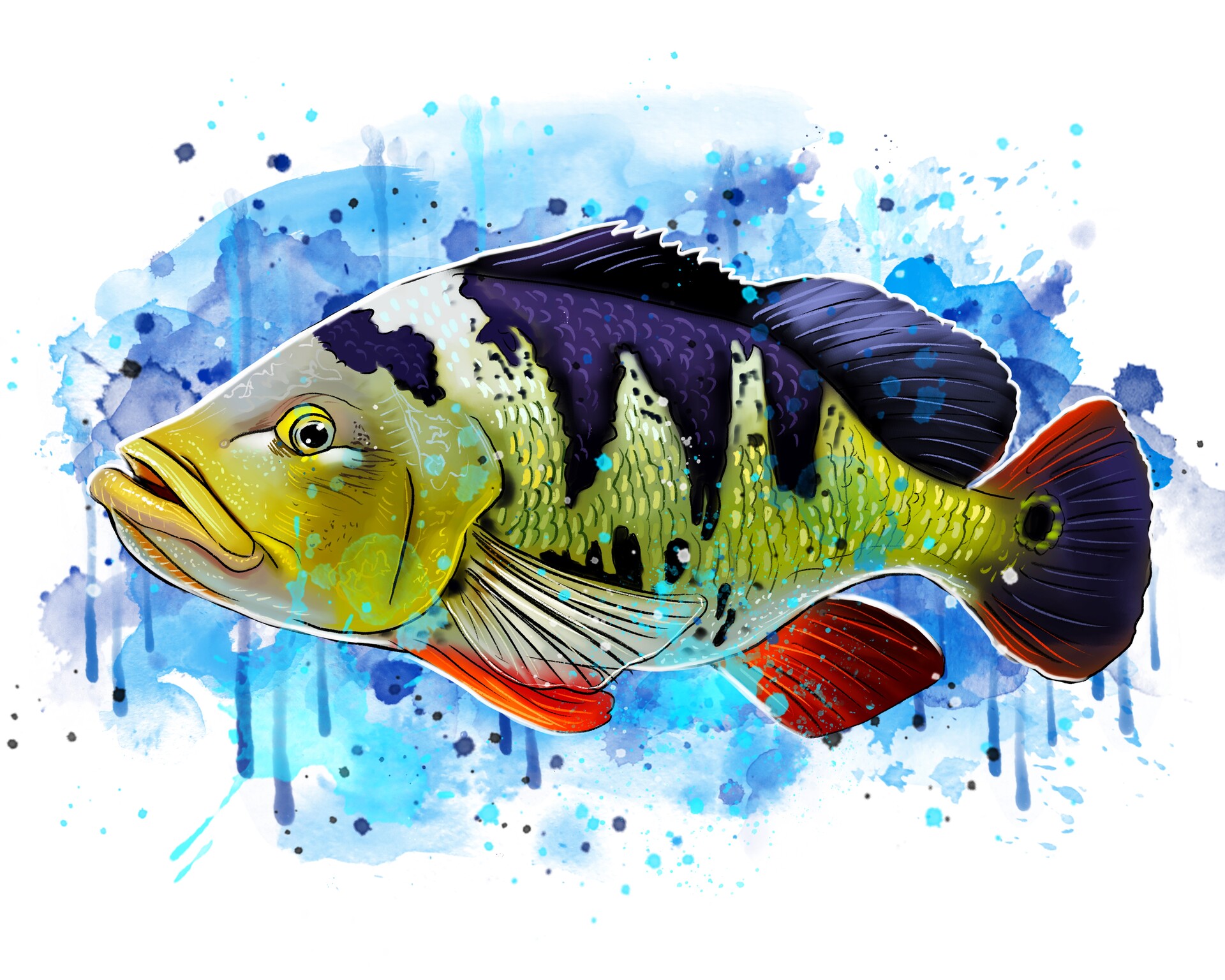 ArtStation - Fish Portraits