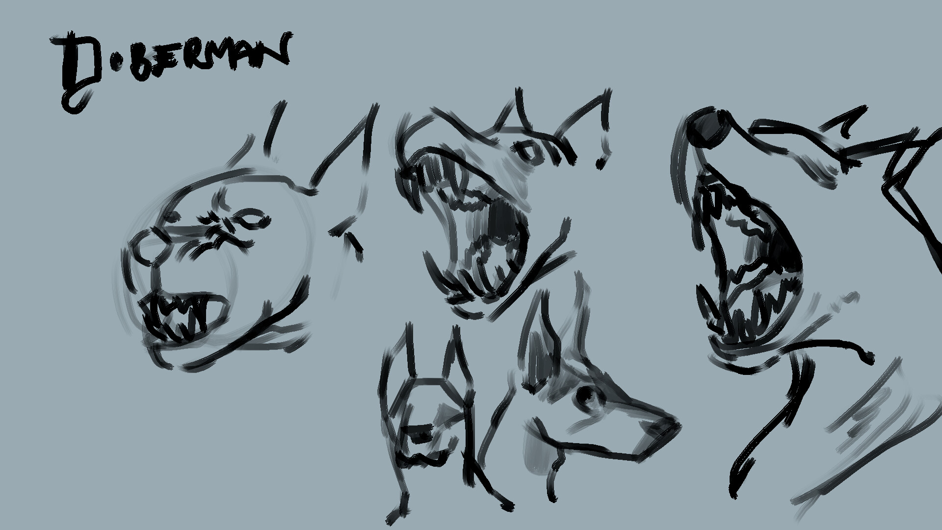 angry dog drawing reference