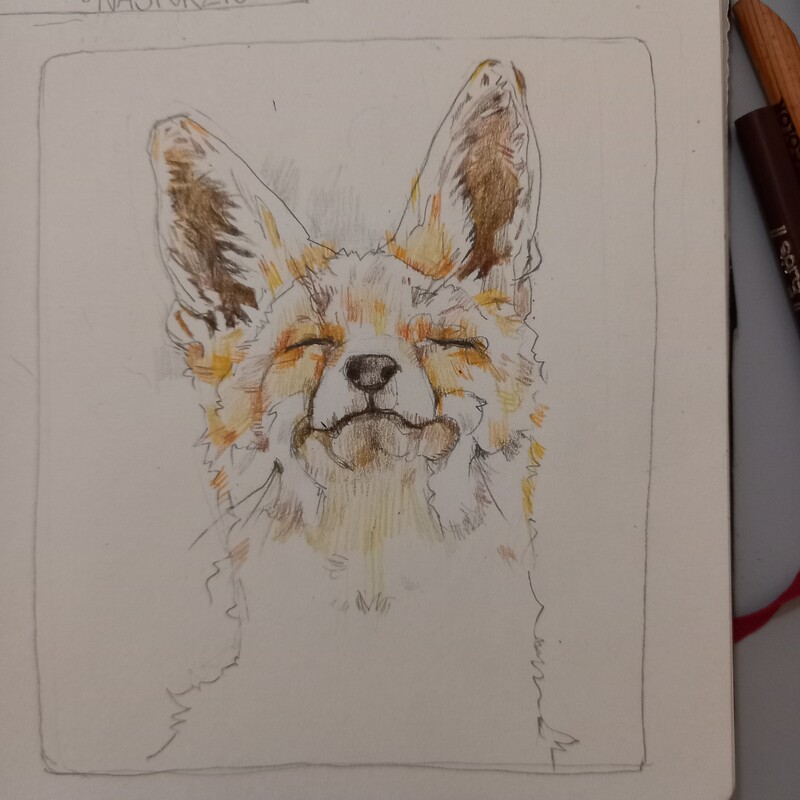 ArtStation - Barbara Luisella Rossetti