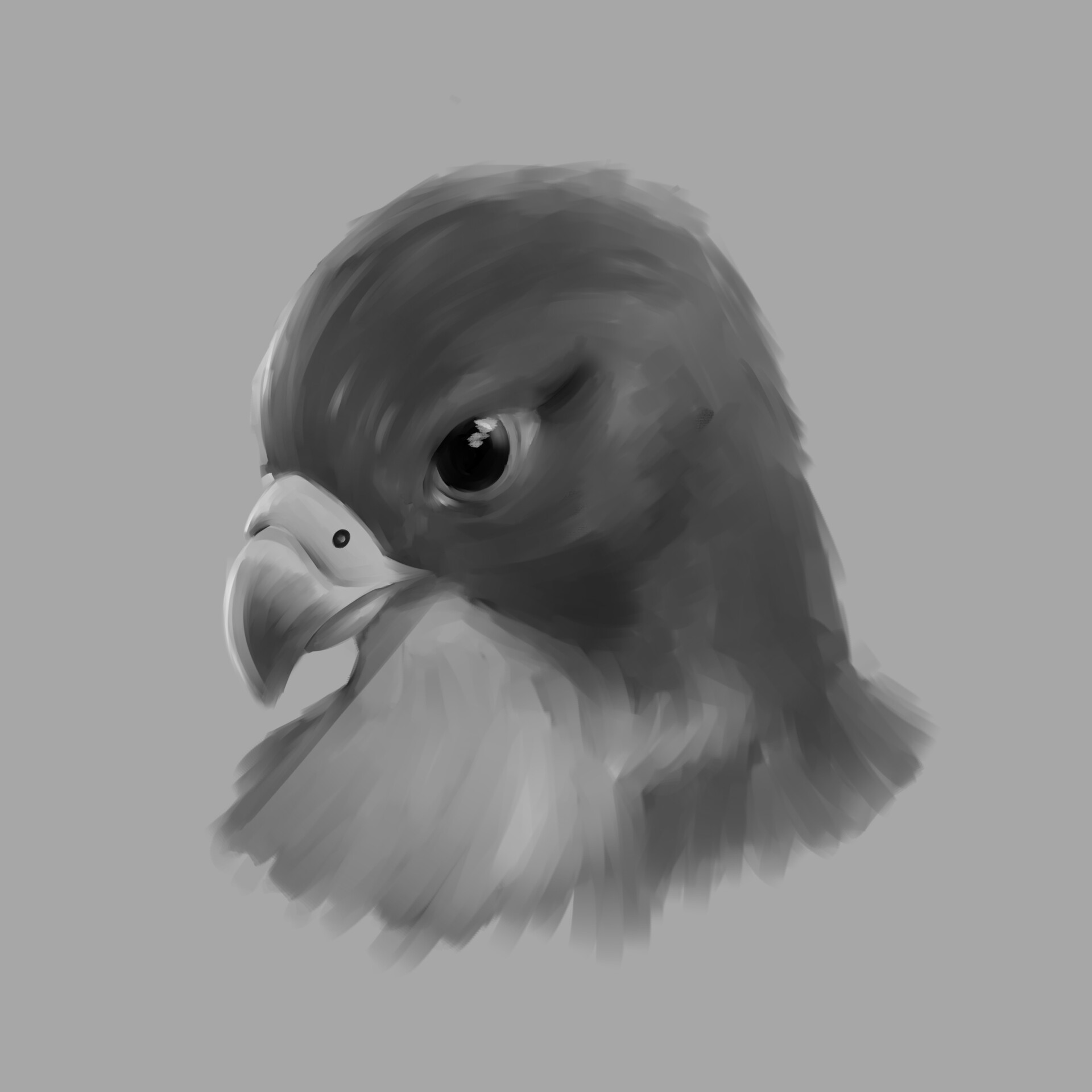 ArtStation - Bird Portrait Style NFT