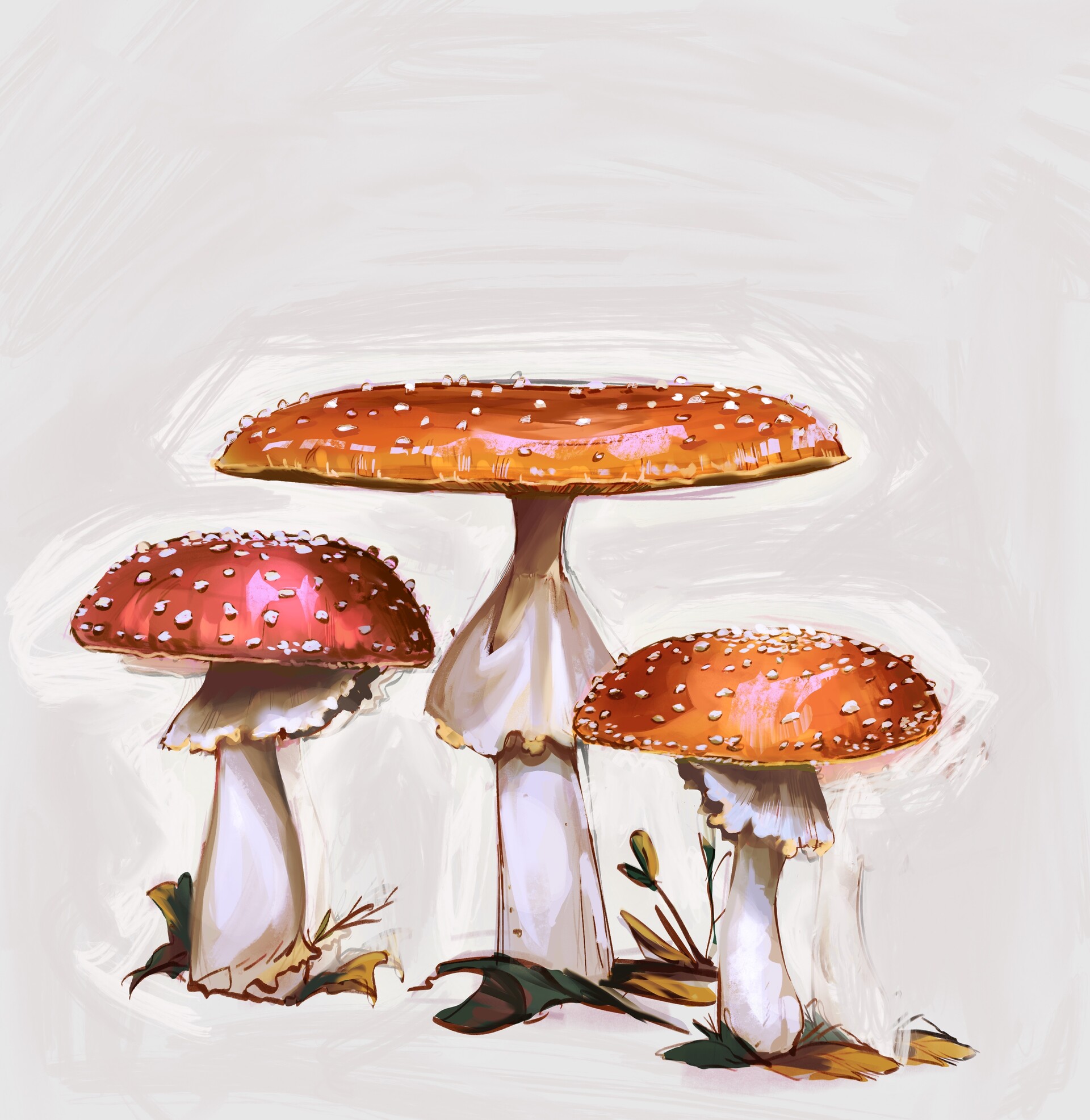ArtStation - Mushroom Study