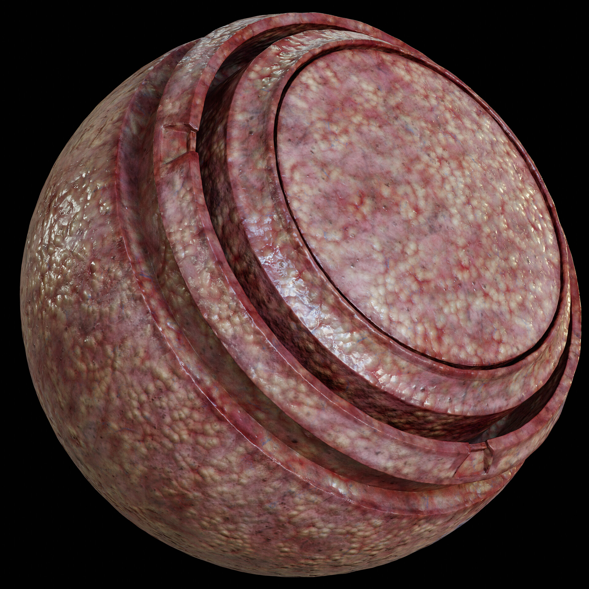 Javad Rajabzade - Zombie Flesh Smart Materials