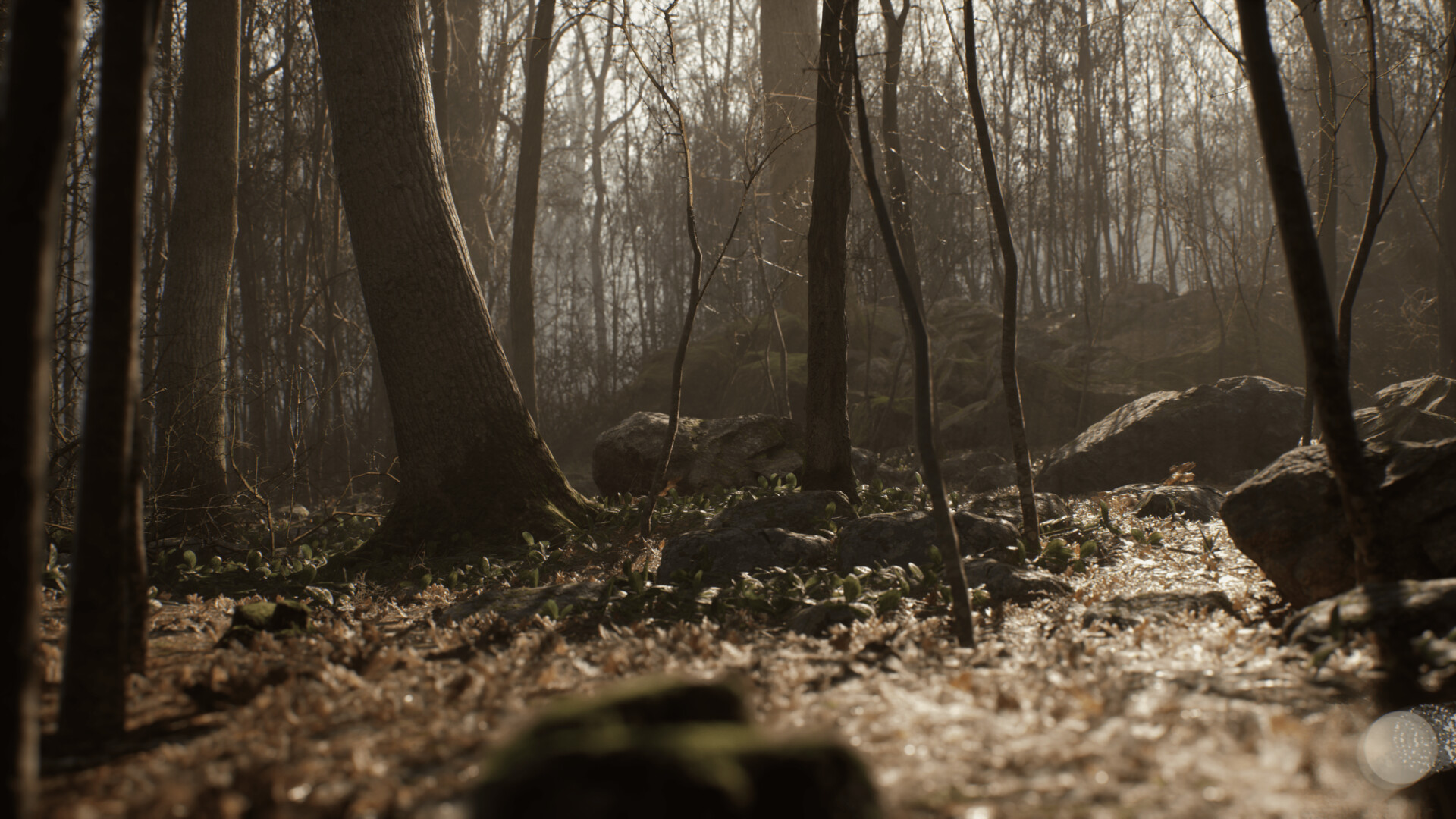 Unreal Zone - Portfolio - Dry_Forest