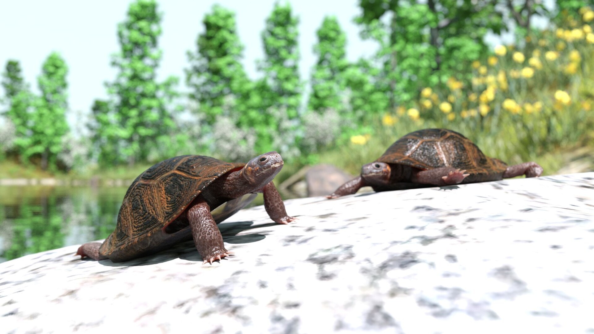 ArtStation - Bog Turtles