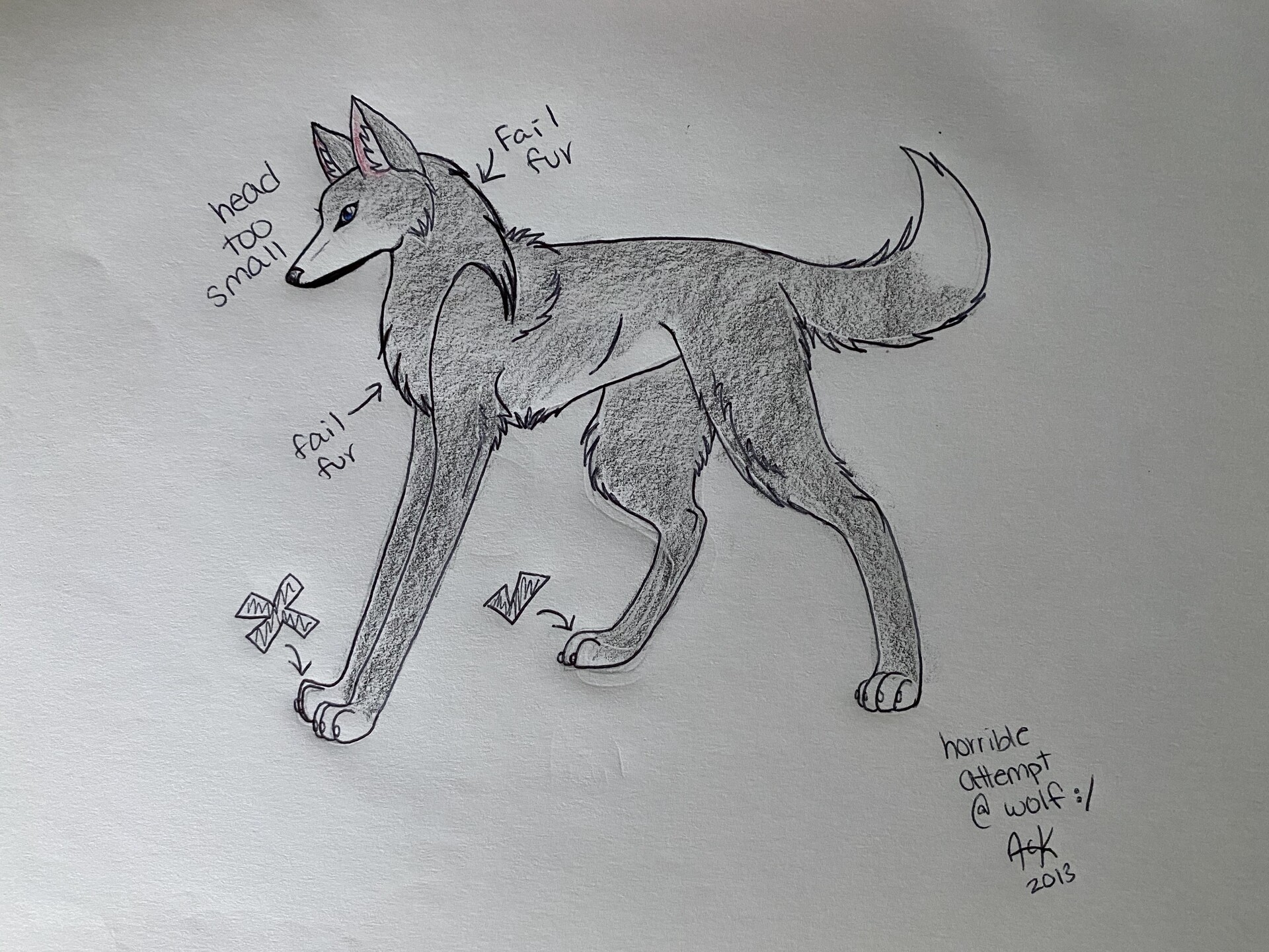 ArtStation - wolf sketch