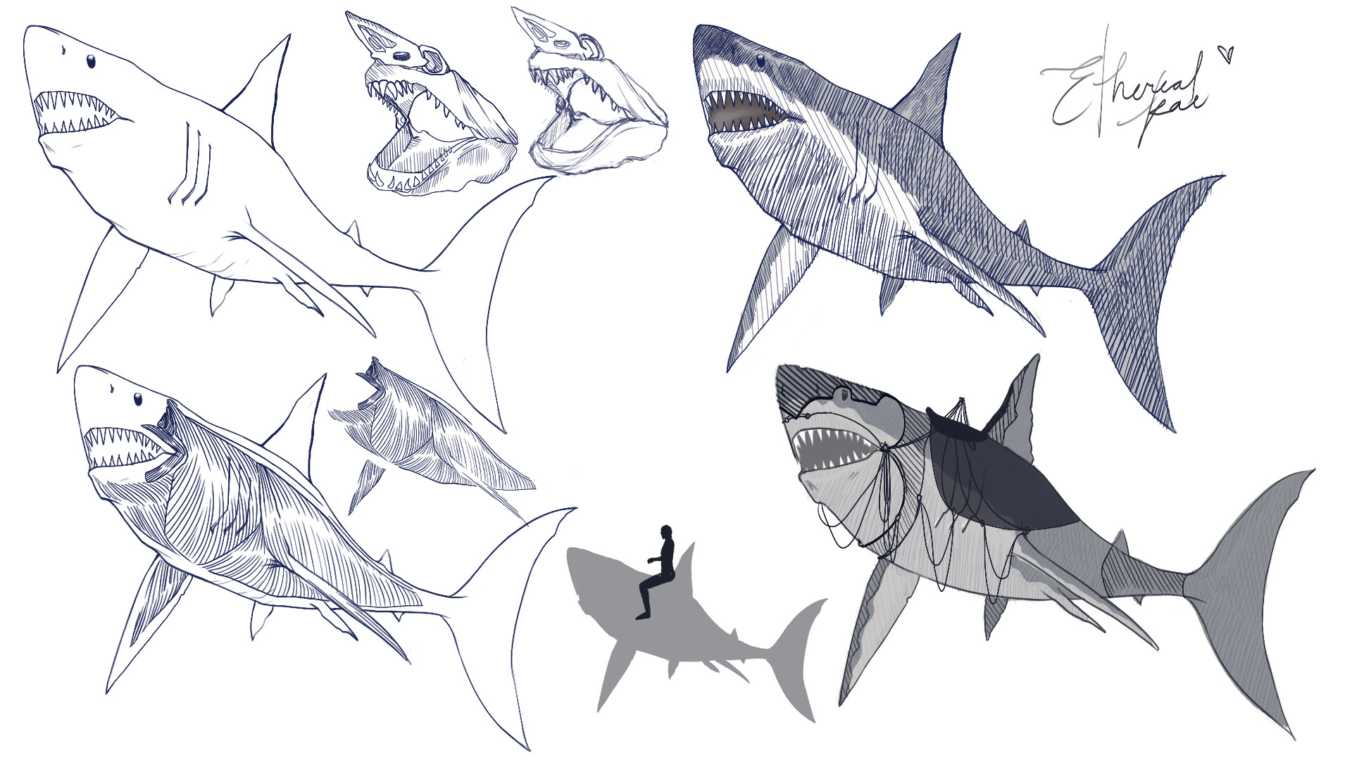 ArtStation - ANIMAL CONCEPT ART