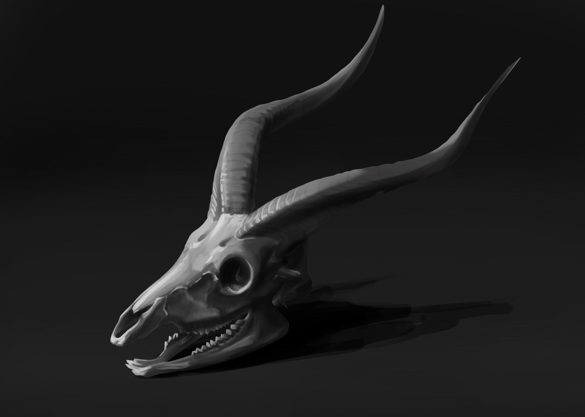 ArtStation - antelope skull