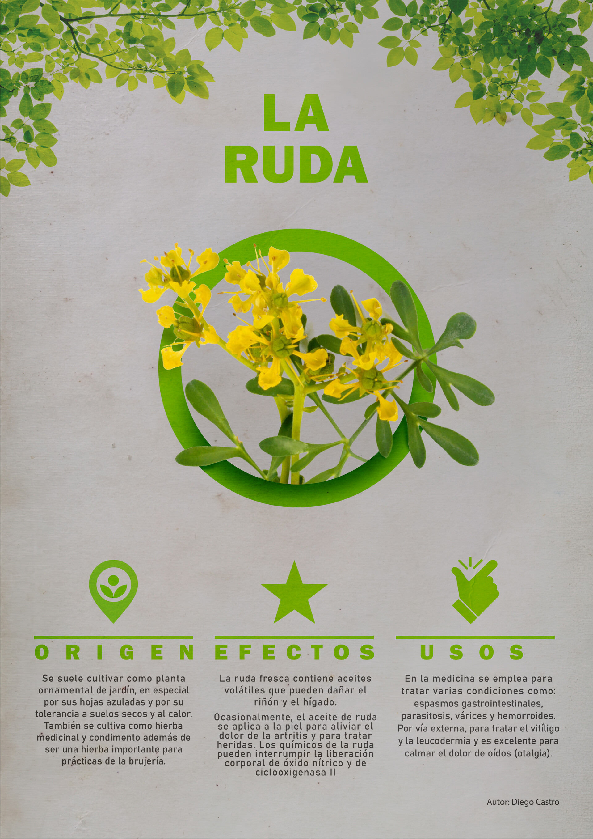 ArtStation - La Ruda (Infografía)