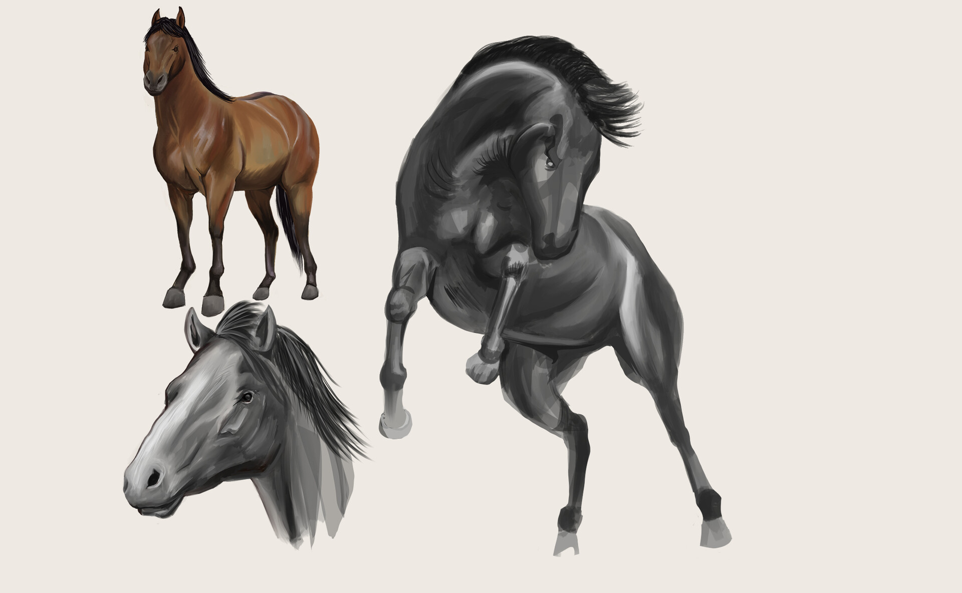 ArtStation - Horse study