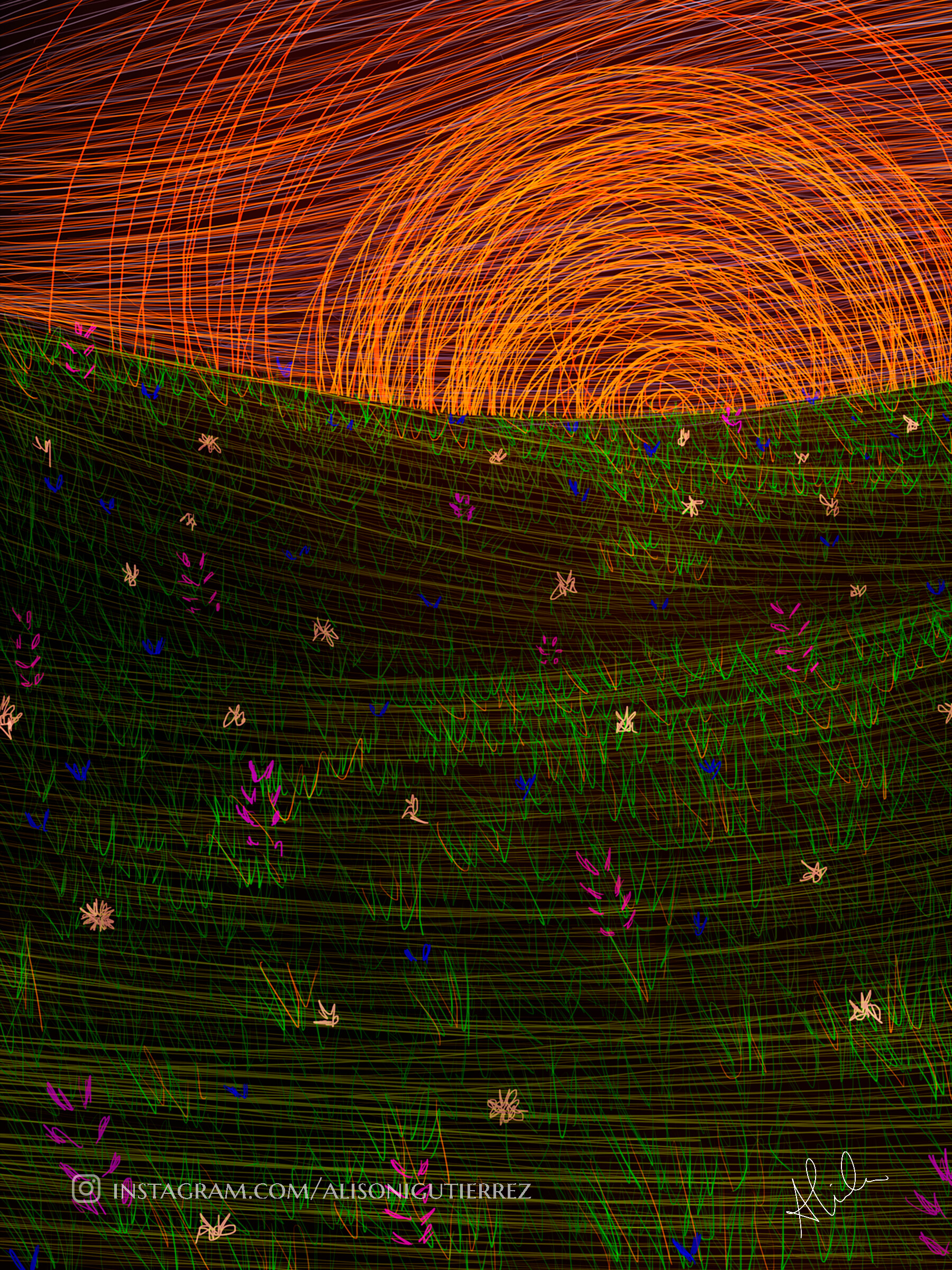 Alison Gutiérrez - Puesta de Sol en el Campo