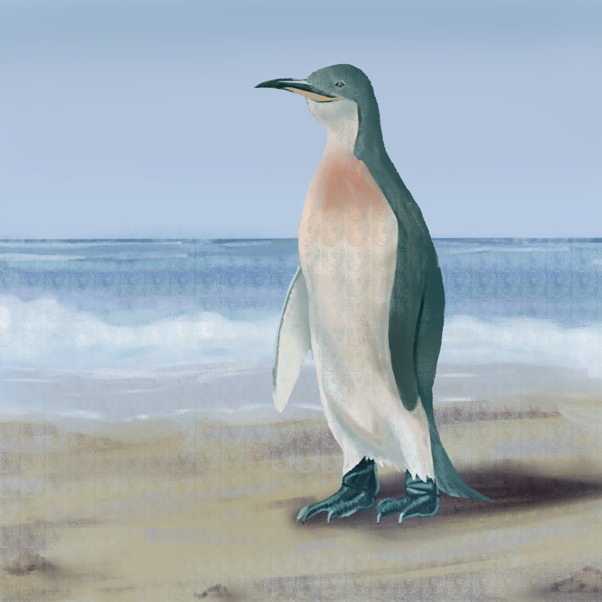 ArtStation - palaeeudyptes study (prehistoric penguin)