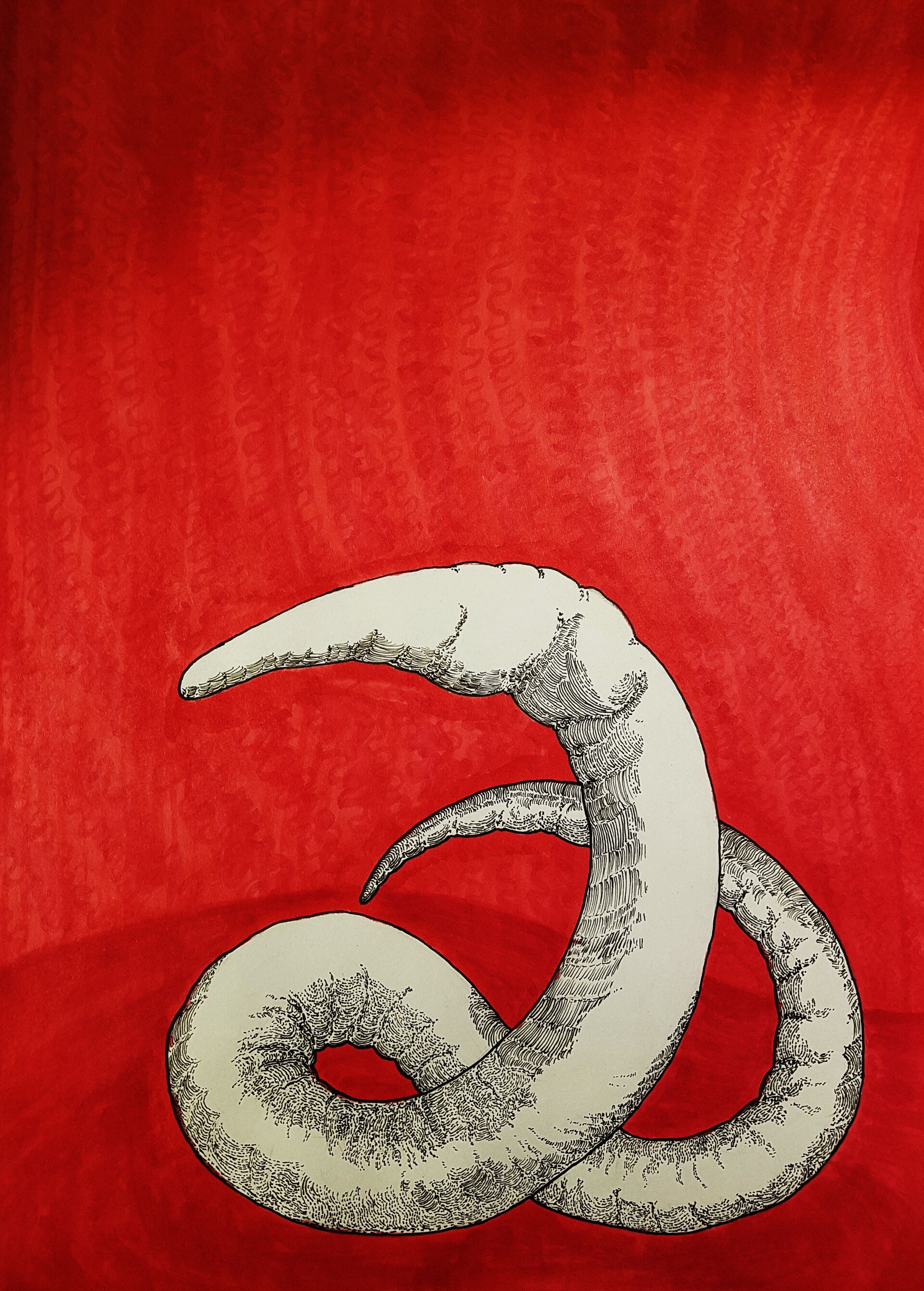ArtStation - The white worm