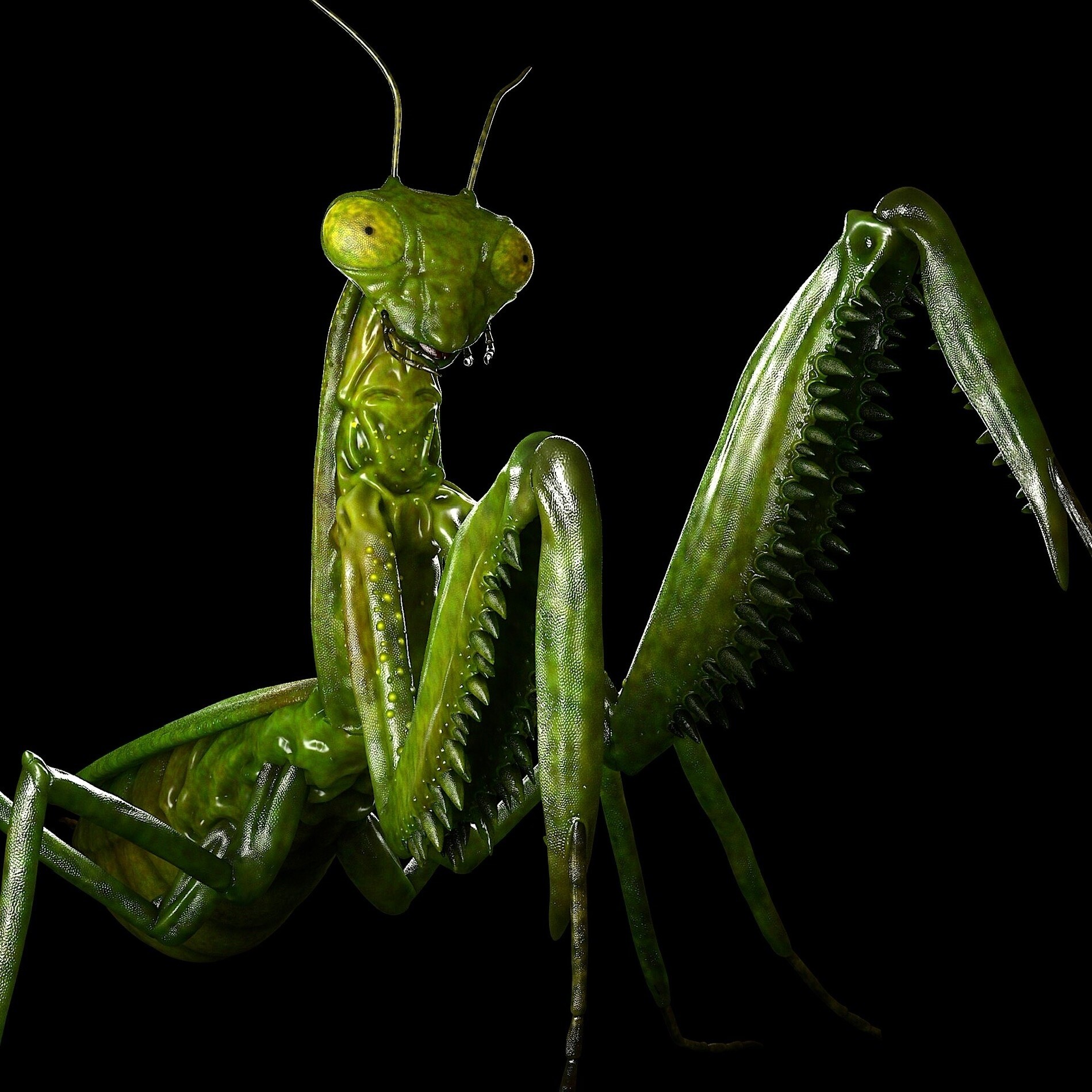 ArtStation - Praying Mantis