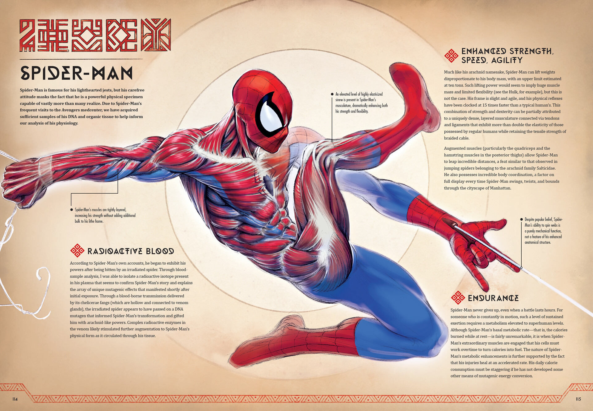 Jonah Lobe - The Making of Spider-Man - Marvel Anatomy