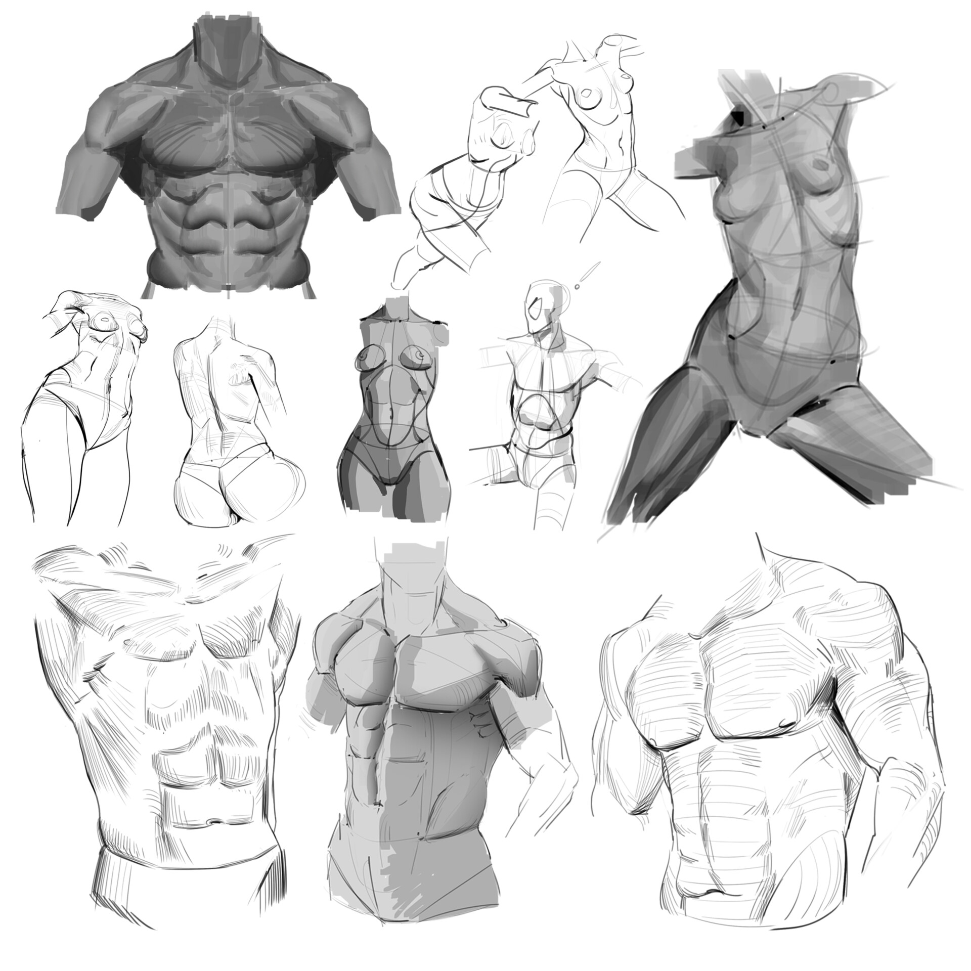 ArtStation - Anatomy Practice