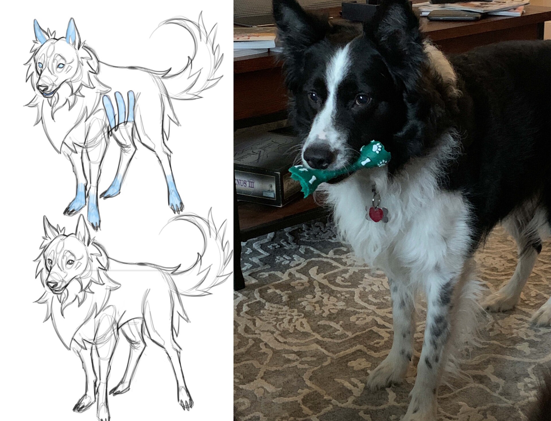 Jane (Fran) Anderson - Creature Design - Buddy, the Necrotic