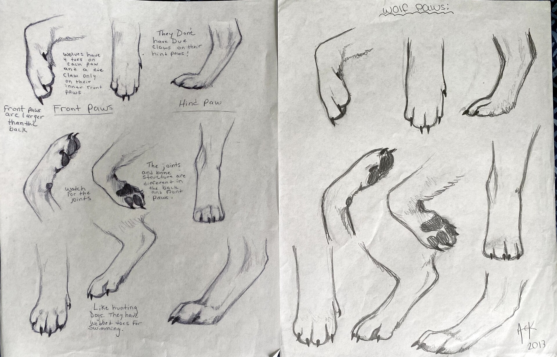how to draw wolf legs and paws