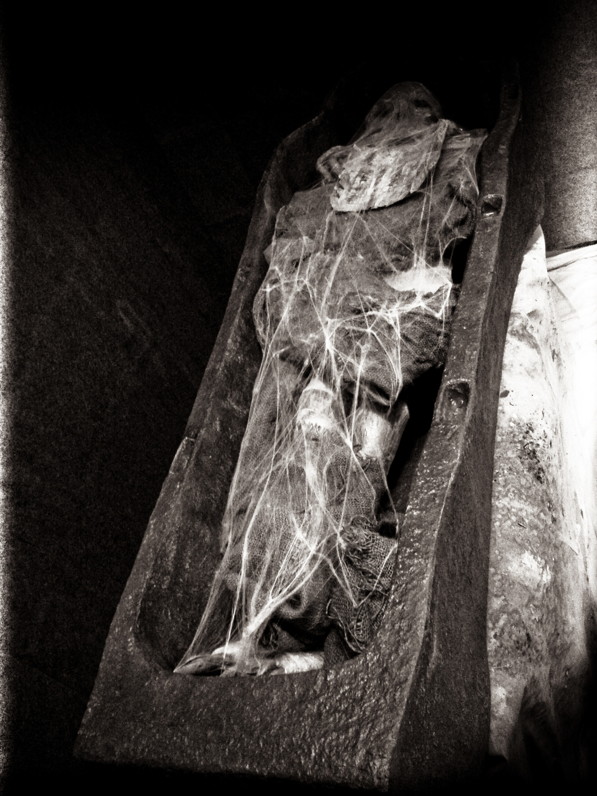 Michael Knight - Photos of the Alien Mummy Project