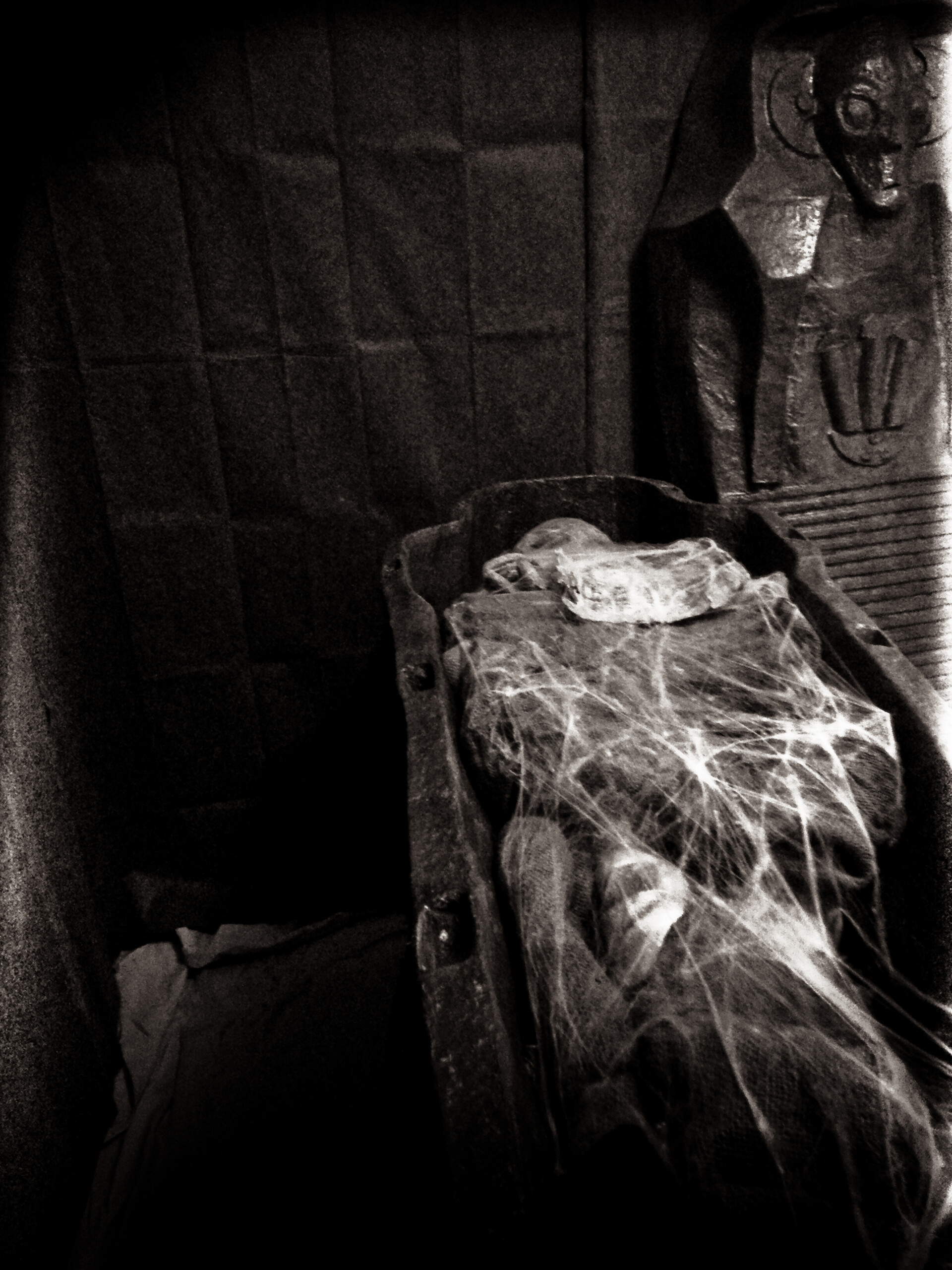 Michael Knight - Photos of the Alien Mummy Project