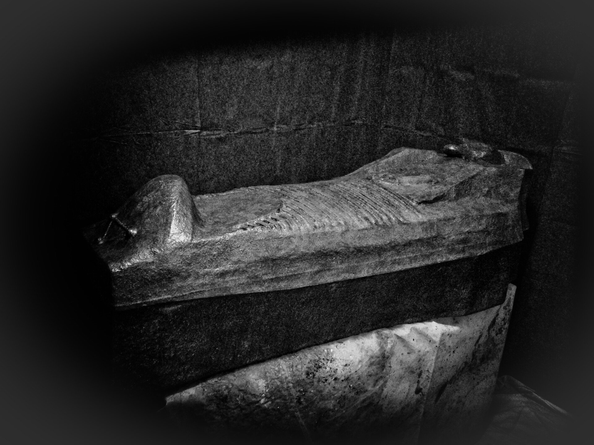 Michael Knight - Photos of the Alien Mummy Project