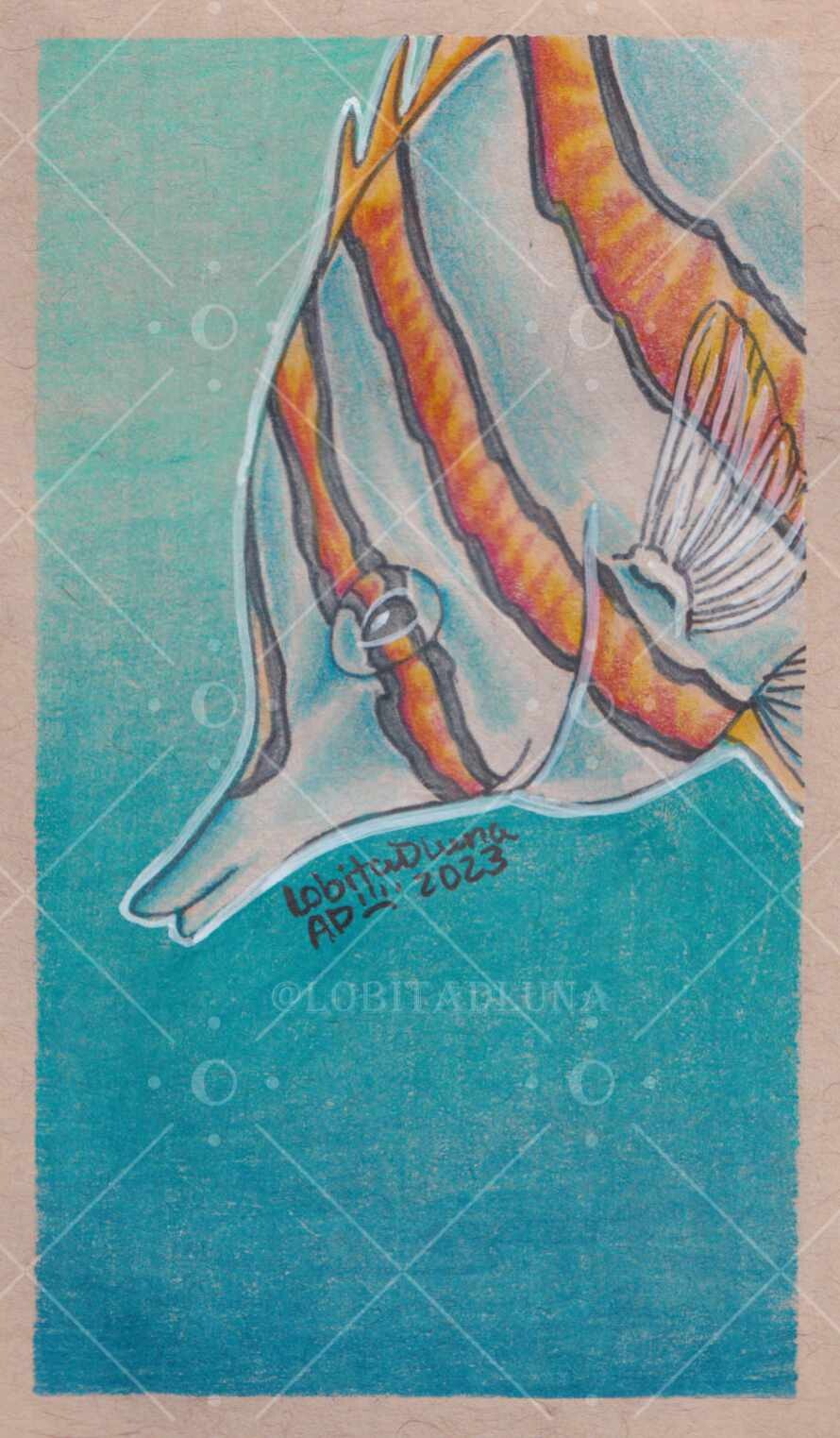 ArtStation - Butterfly Fish