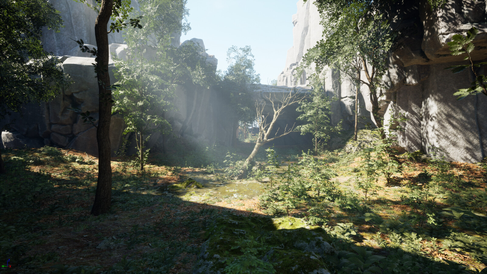 Echo - A Space in the Forest