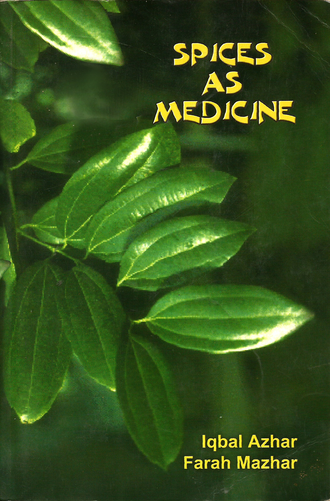 ArtStation - Book Cover Design (Spices as Medicine)