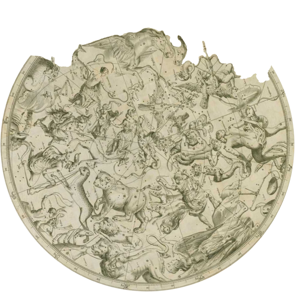 Léo Vanaret - Boreal Constellations, Johannes Hevelius,1690