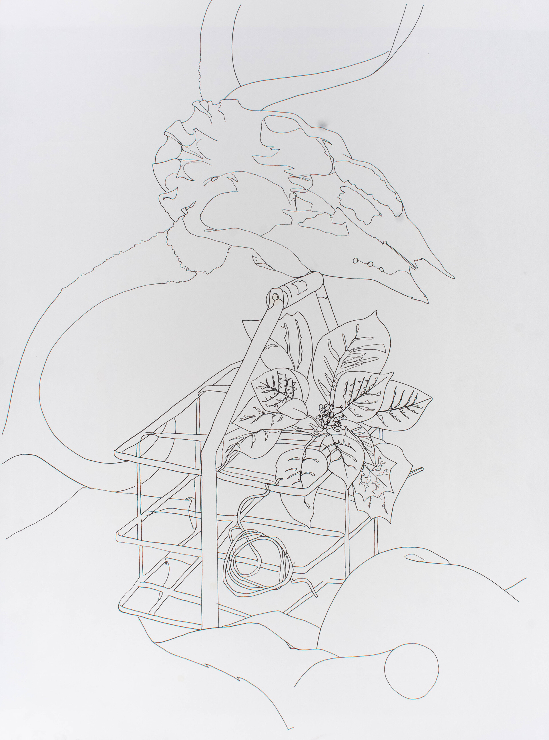 ArtStation - Still-life contour line drawing